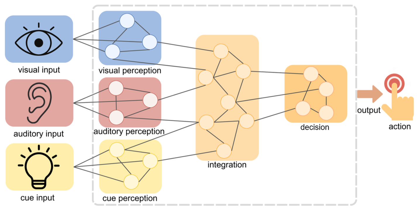 Assessing Generalization Of Cognitive Tasks Using Multi Regional Modular Recurrent Neural